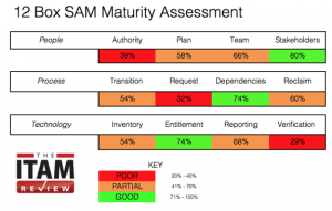 12 Box Maturity Assessment Sample Output | The ITAM Review